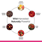 Dr. Schulze Super-C Plus benefits