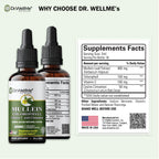 DR WELLME nutrition mullein extract