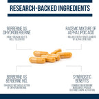 Dr. Westin Childs berberine for metabolic wellness