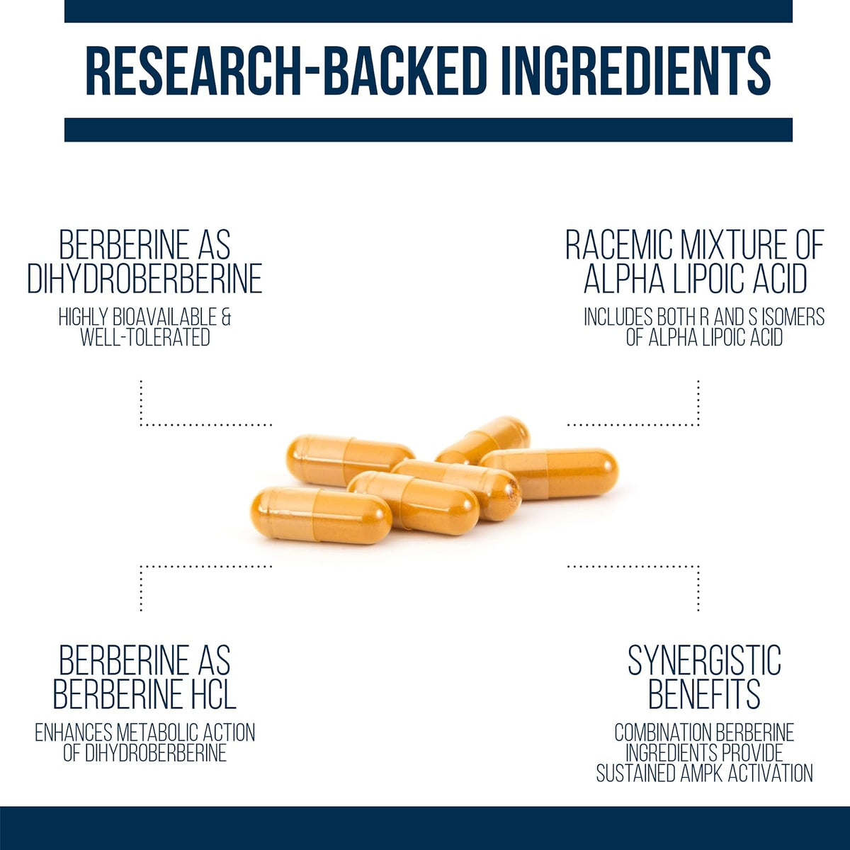 Dr. Westin Childs berberine for metabolic wellness