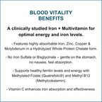 Dr. Wholeness iron for daily wellness