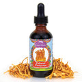 Dragon Herbs Cultured Cordyceps drops for stamina