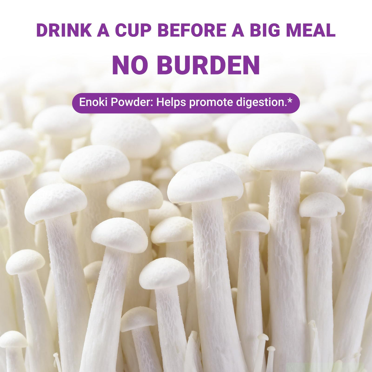 DrBioCare herbal infusion for detox support