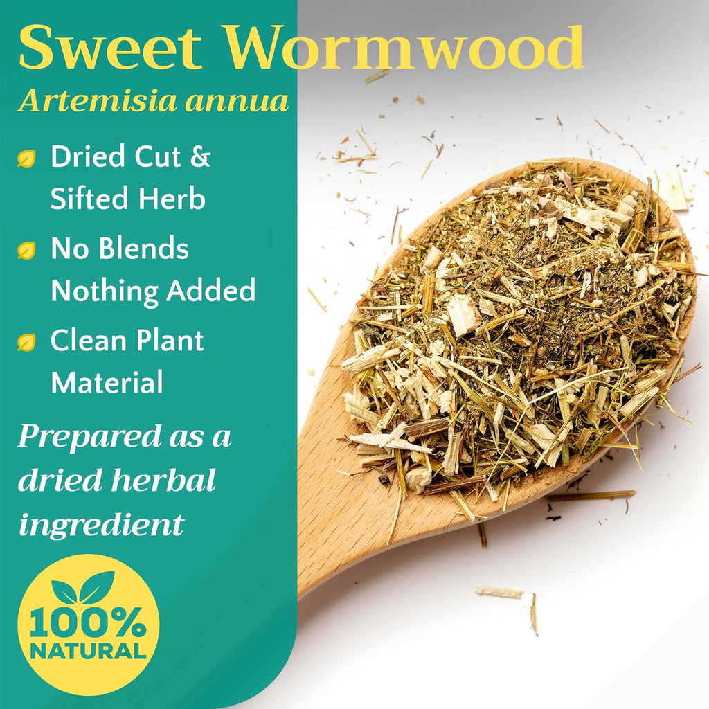 Dried Artemisia Annua tea for wellness