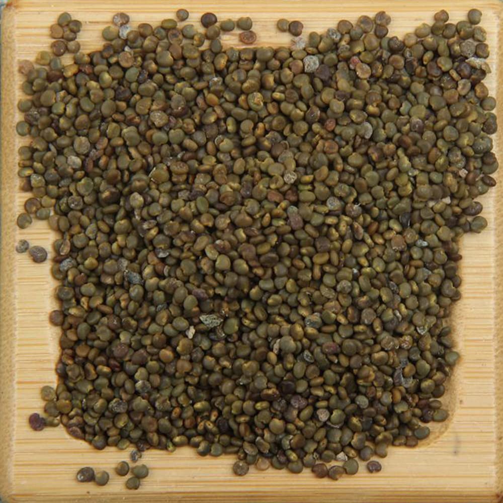 dried astragalus for herbal tea