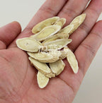 dried astragalus root slices for tea