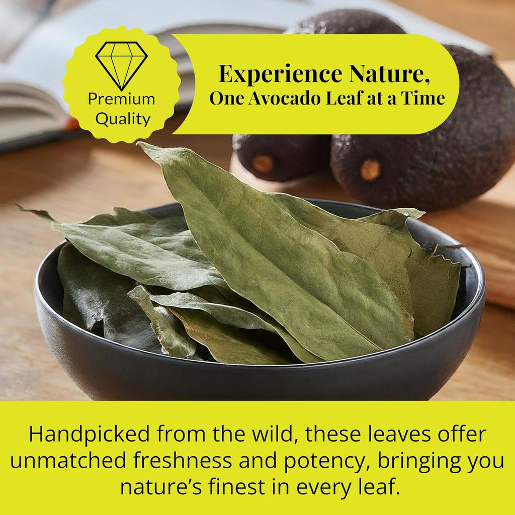 dried avocado leaves for detox