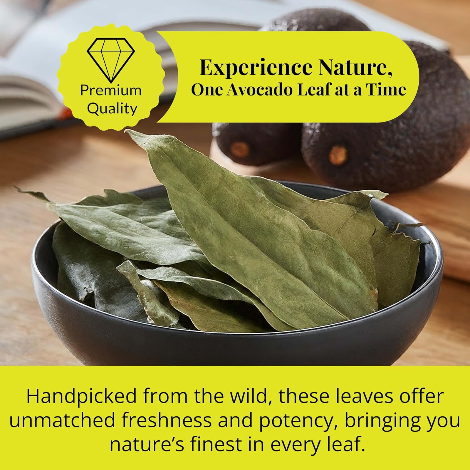 dried avocado leaves for detox