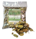 dried avocado leaves for herbal tea