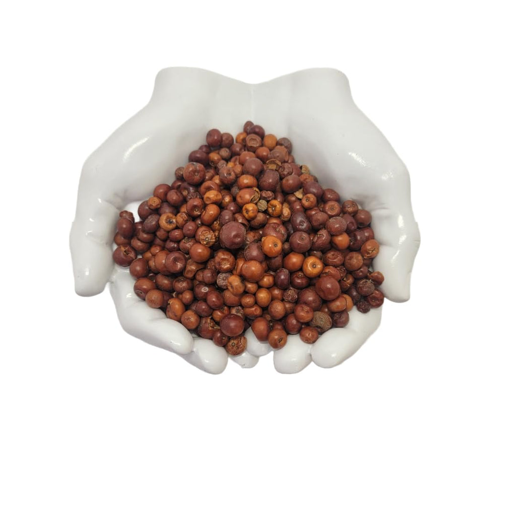Dried bearberry fruit for wellness