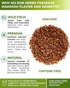 Dried Betula Pendula tea infusion