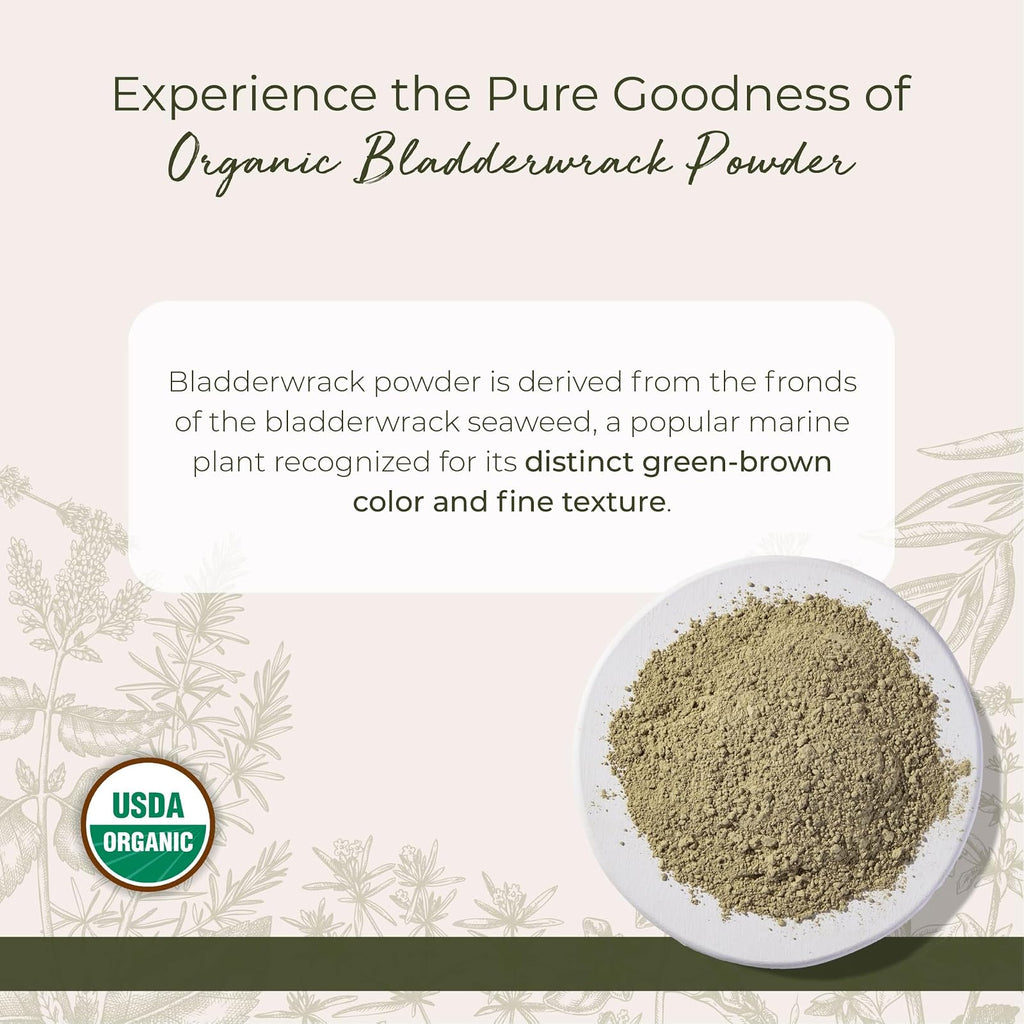dried bladderwrack for herbal remedies