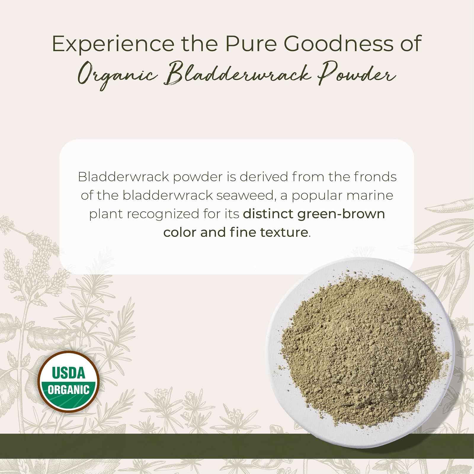 dried bladderwrack for herbal remedies
