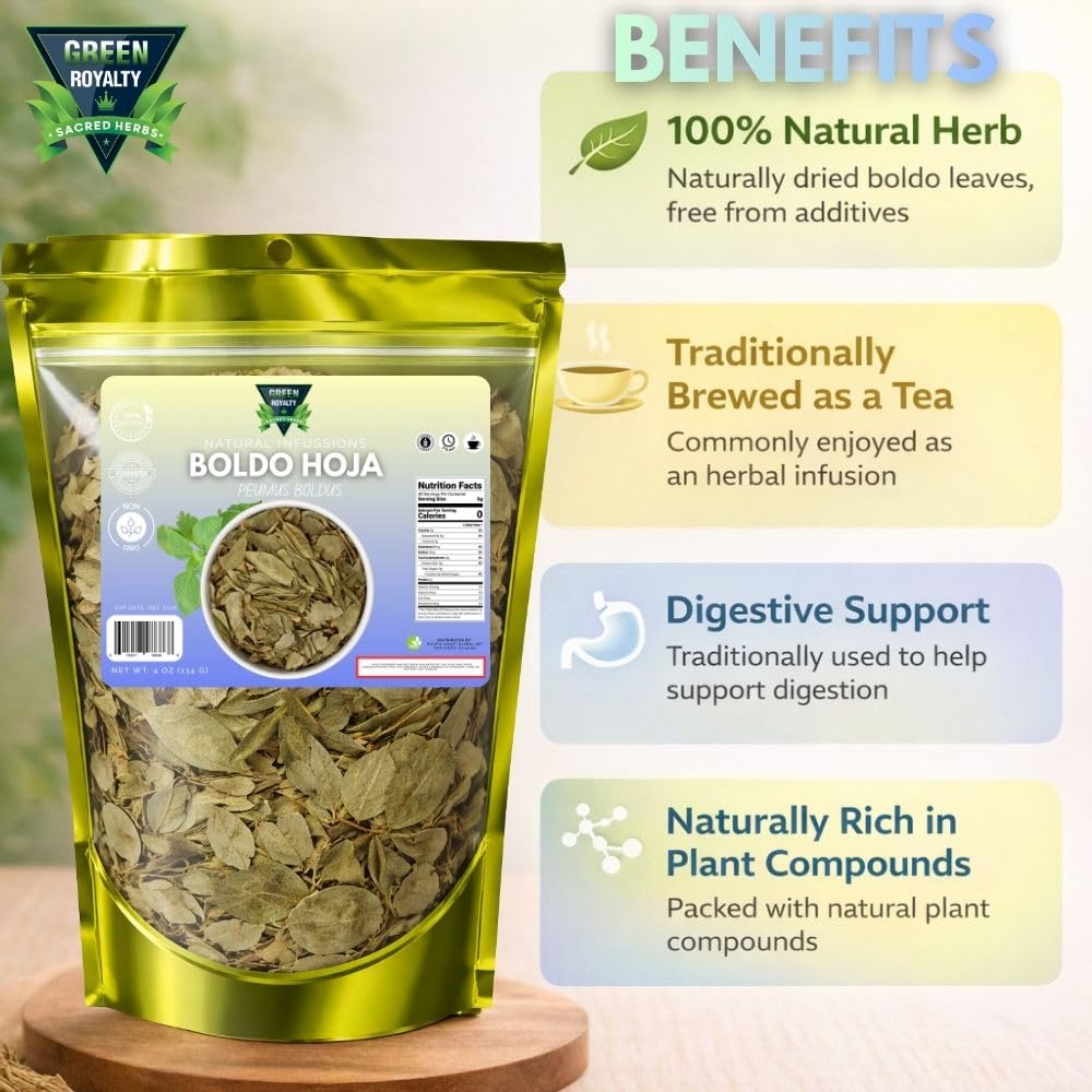 Dried boldo leaf herbal infusion