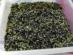 dried butterfly pea flowers for tea