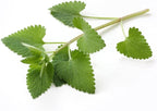 dried catnip for calming pets