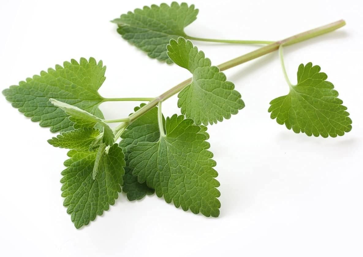 dried catnip for calming pets
