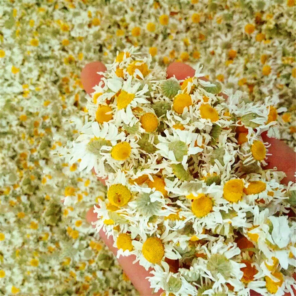 dried chamomile for soothing lotions