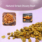 dried chicory root for digestion