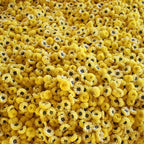Dried chrysanthemum flowers for brewing