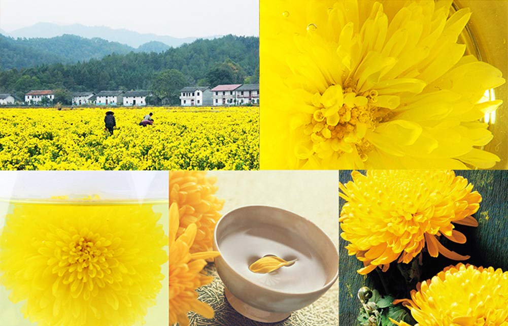 dried chrysanthemum for wellness