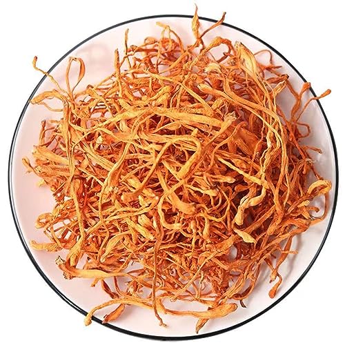 Dried Cordyceps mushrooms for health benefits