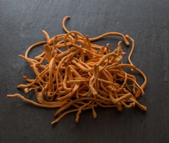dried cordyceps mushrooms for health