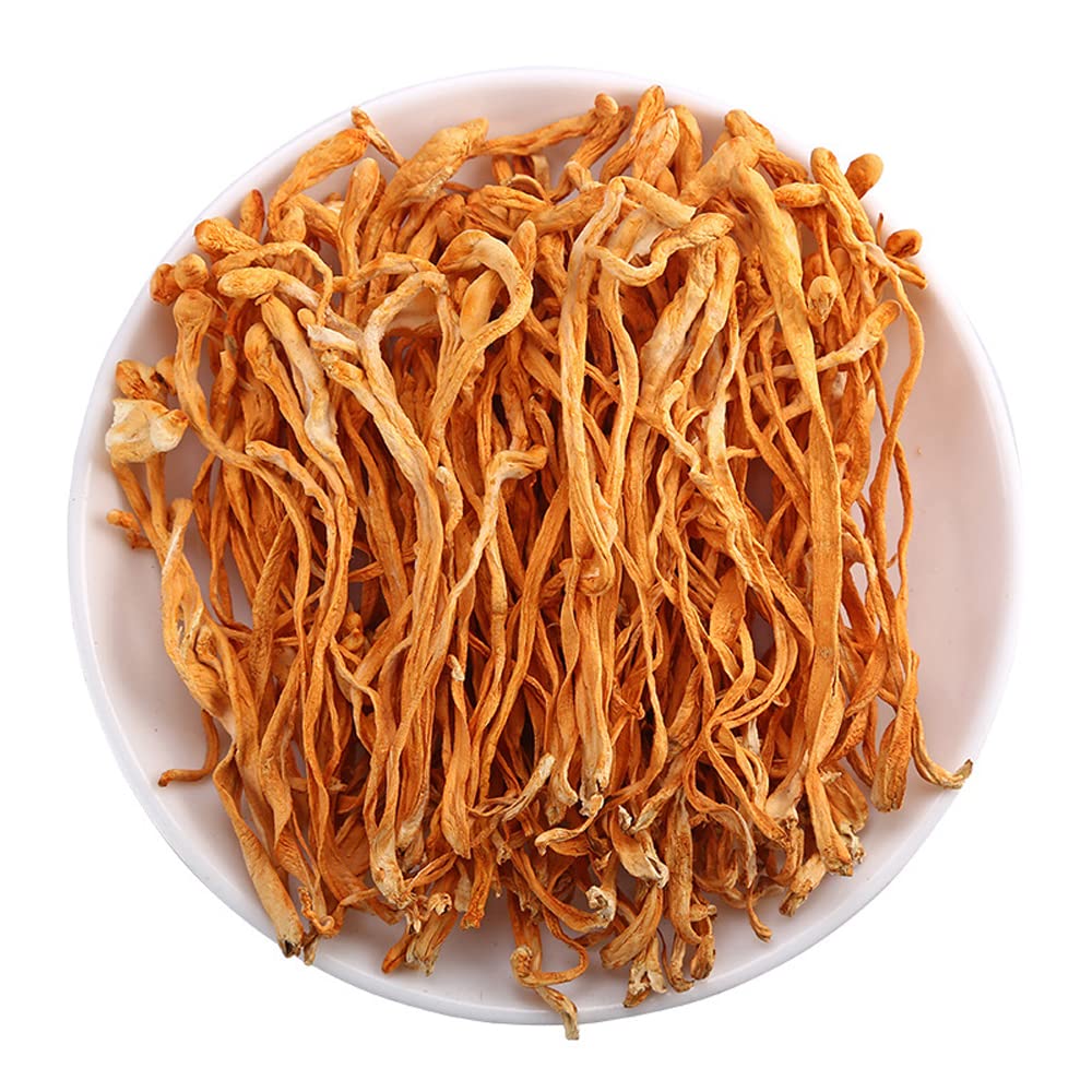 dried cordyceps mushrooms superfood