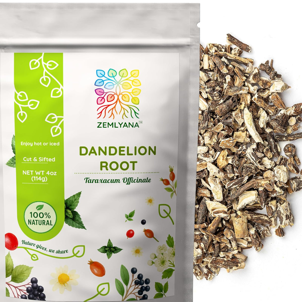 Dried dandelion root tea benefits