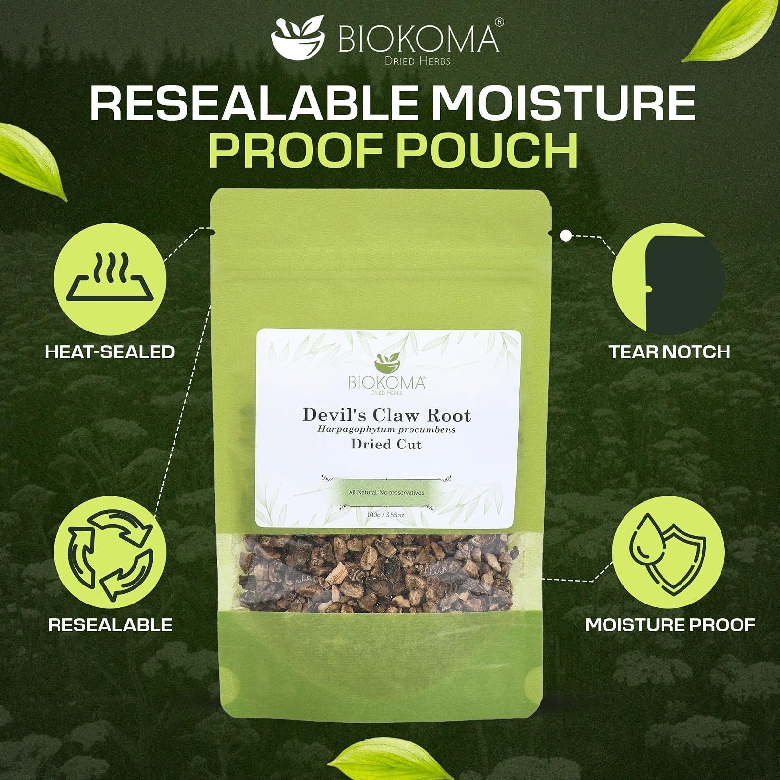 dried Devil's Claw root infusion