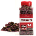 dried echinacea purpurea flowers