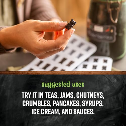 dried elderberries for herbal remedies