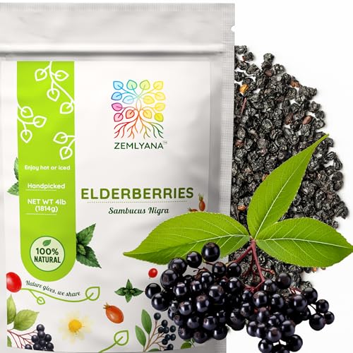 dried elderberry berries for immunity