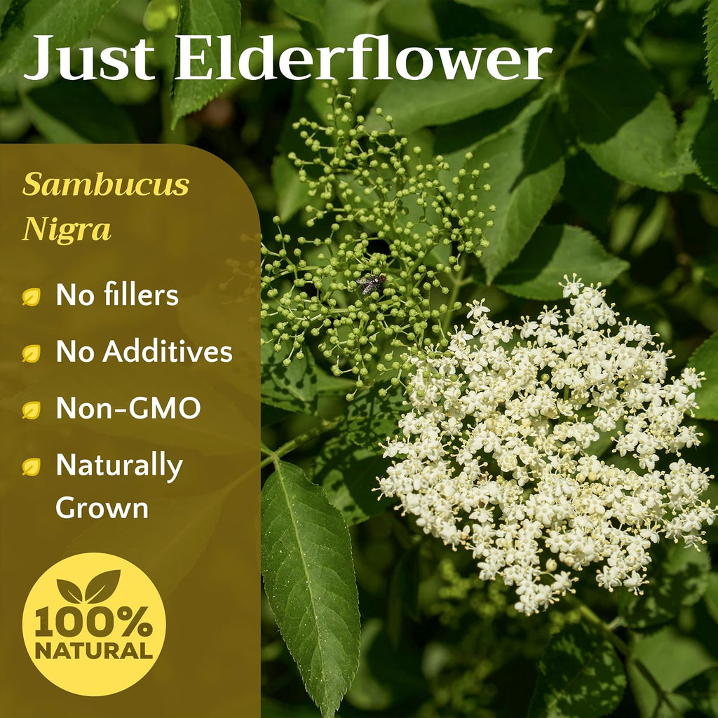 dried elderflower tea benefits