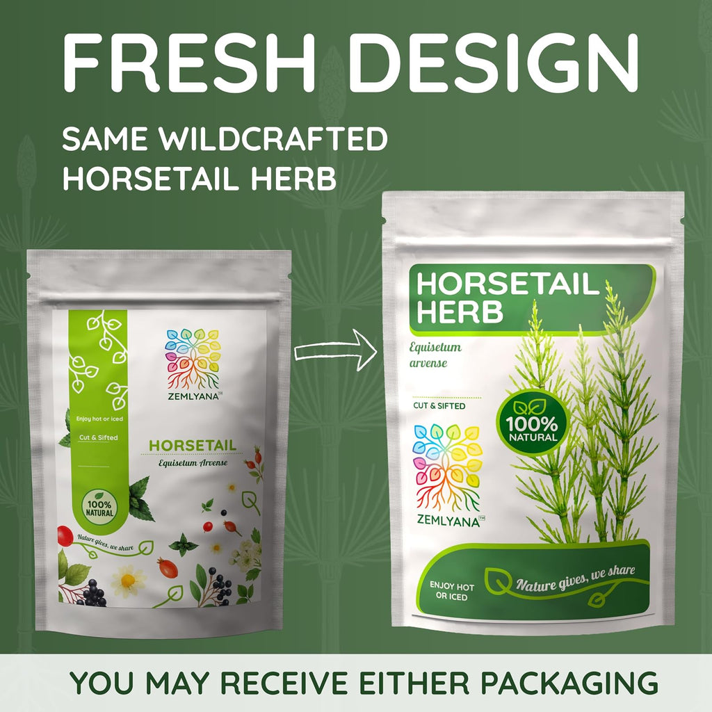 Dried equisetum arvense herbal infusion