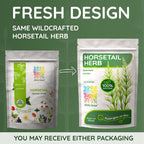 Dried equisetum arvense herbal infusion
