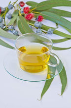 Dried eucalyptus for aromatic home decor