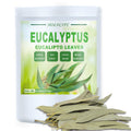 dried eucalyptus leaves for herbal tea