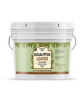 dried eucalyptus leaves herbal tea