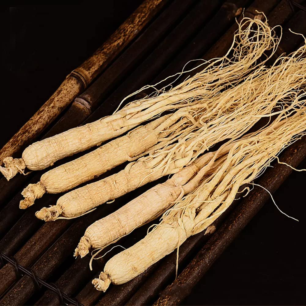 dried ginseng roots for herbal remedies