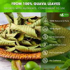 dried guava leaves for infusion