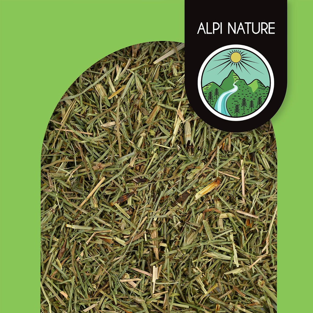 dried horsetail herb infusion