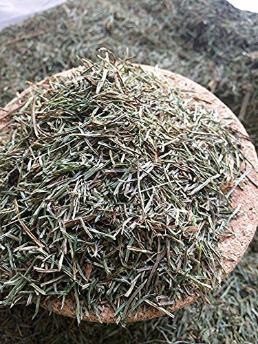 dried horsetail herbal supplements for wellness
