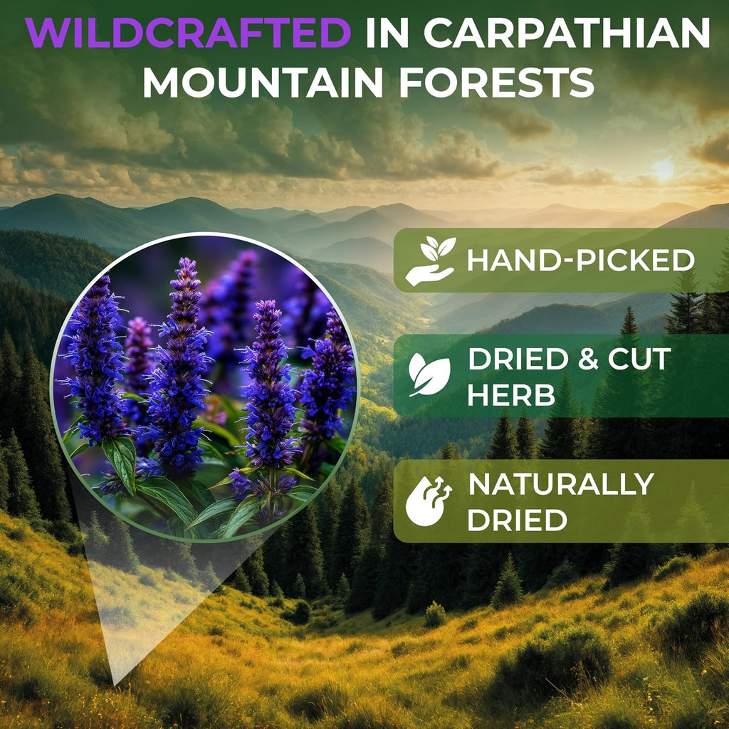 dried hyssop herb for soothing brews