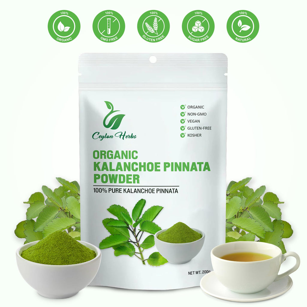 dried Kalanchoe leaves for health