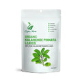 dried Kalanchoe Pinnata leaves supplement