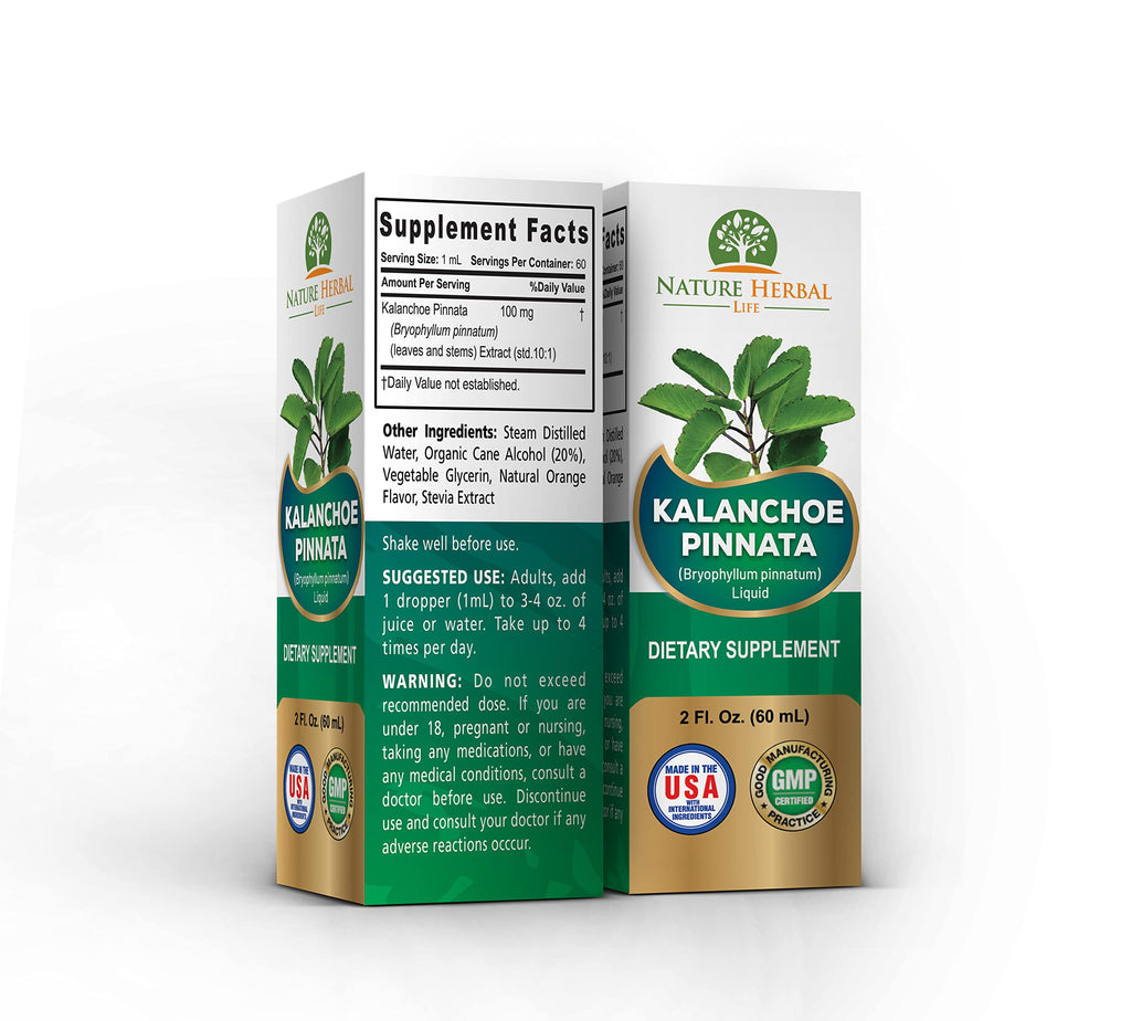 Dried leaf glycerite for wellness