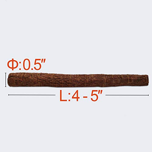 dried licorice root for digestive health