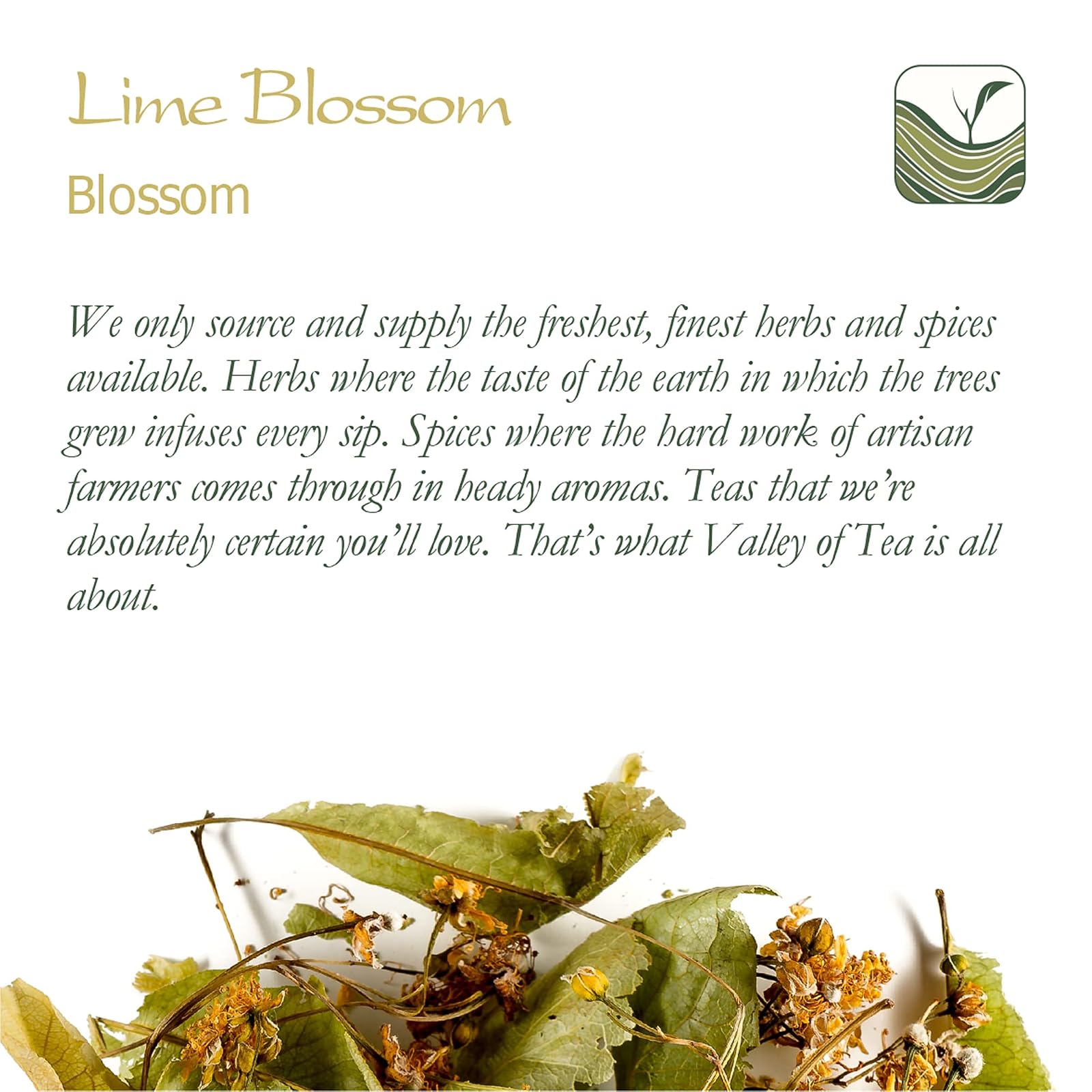 Dried linden blossoms for herbal remedies