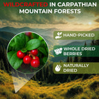 dried lingonberry tea for wellness